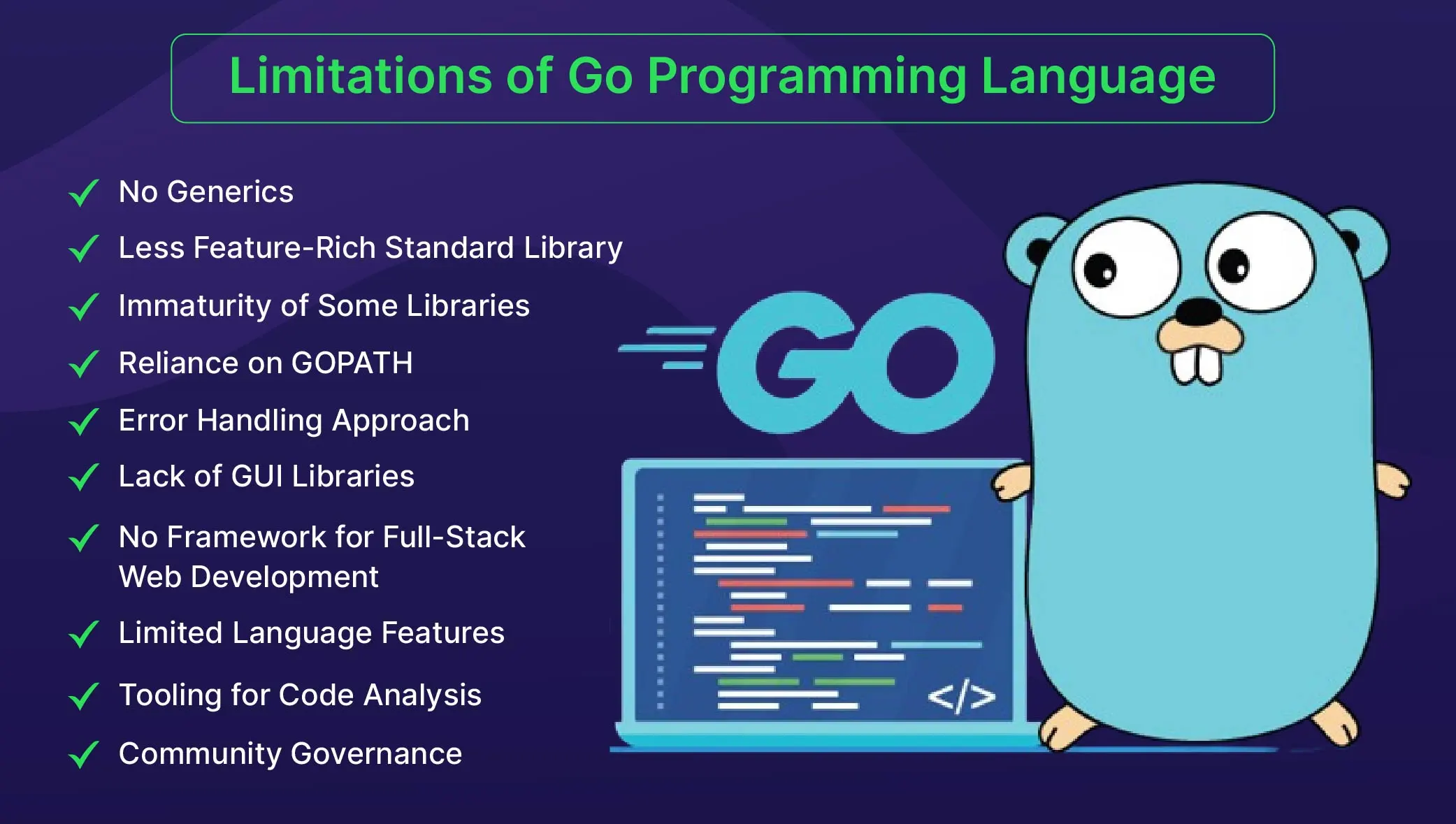 Go Programming Language BloxBytes Mini Guide